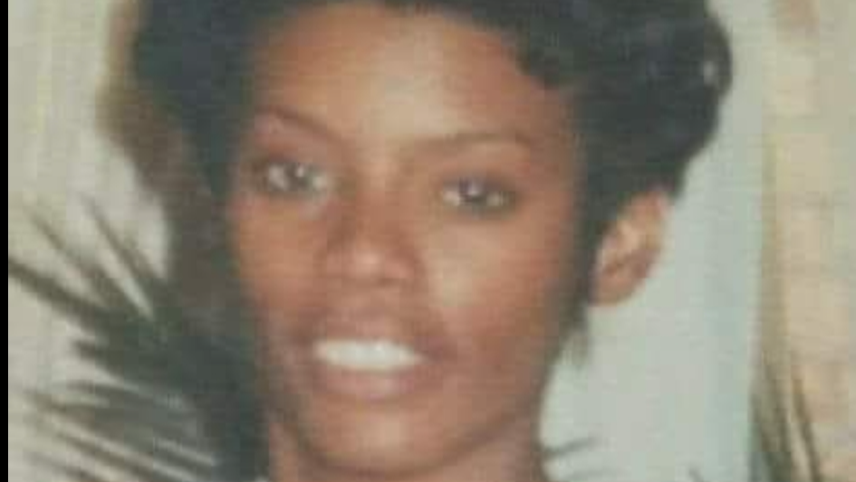 Fundraiser by Bryan Crofton : Support Evelyn's final ride home