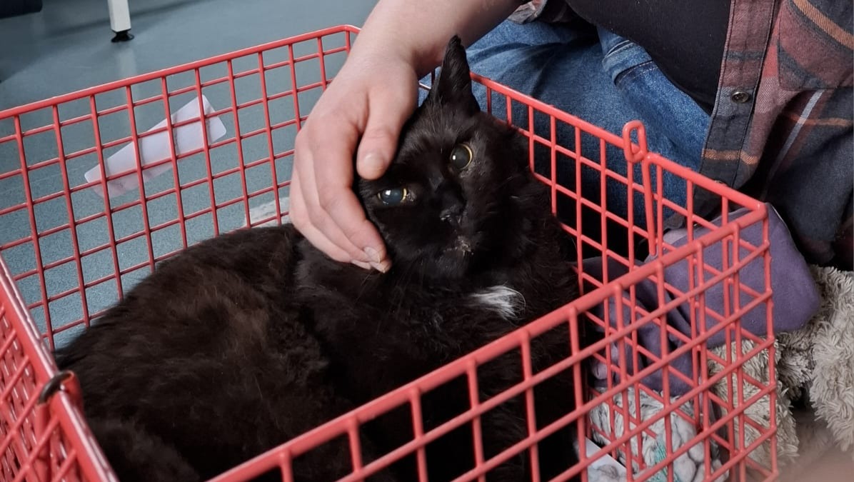 Fundraiser by Angel Cleary : Help Bobby Recover: A Fundraiser for His ...