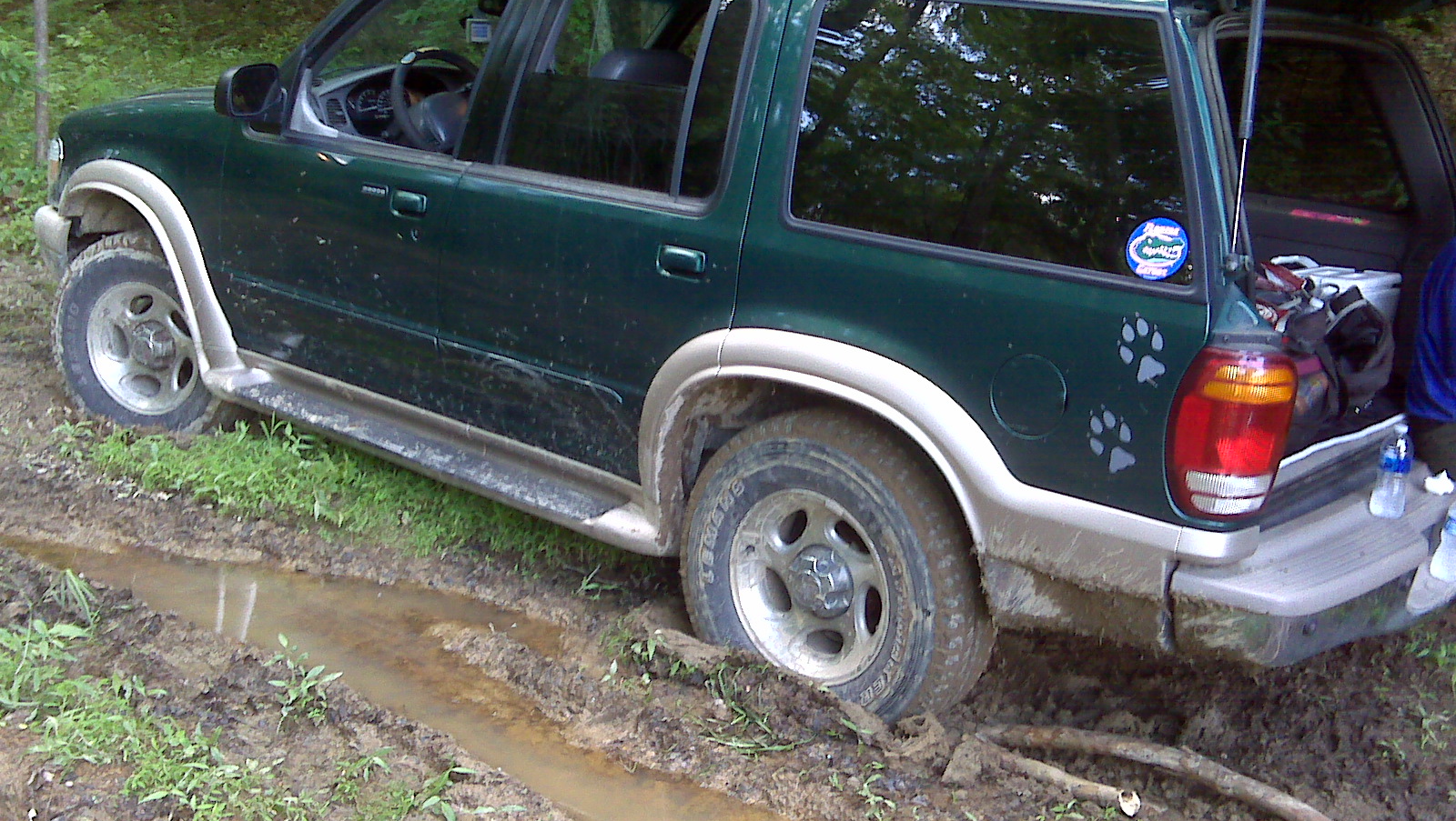 Fundraiser by Nikki Ivey : Support Spruce Ann