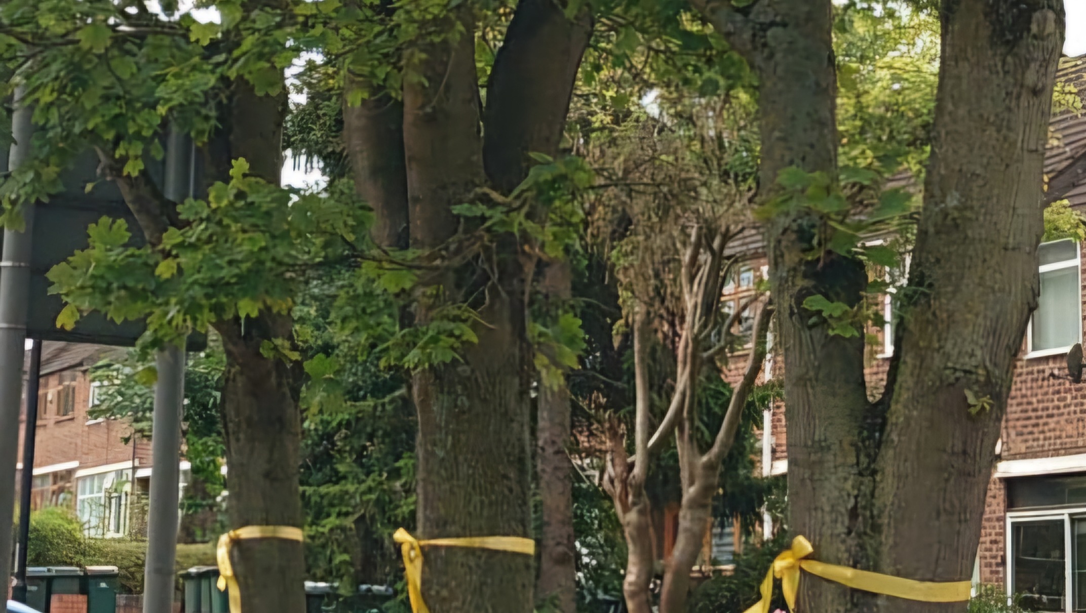 Fundraiser by Martina Irwin : Legal challenge investigation for CBR ...