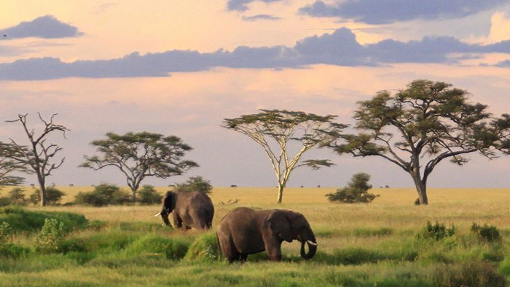 Fundraiser by Me'Kayla Tolar : Support MeKayla's Study Abroad