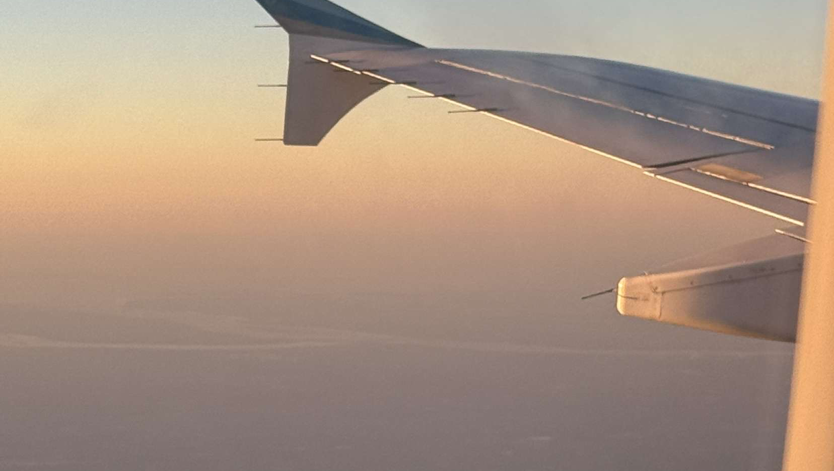 Fundraiser by Peter Ellis : Help me see Lea