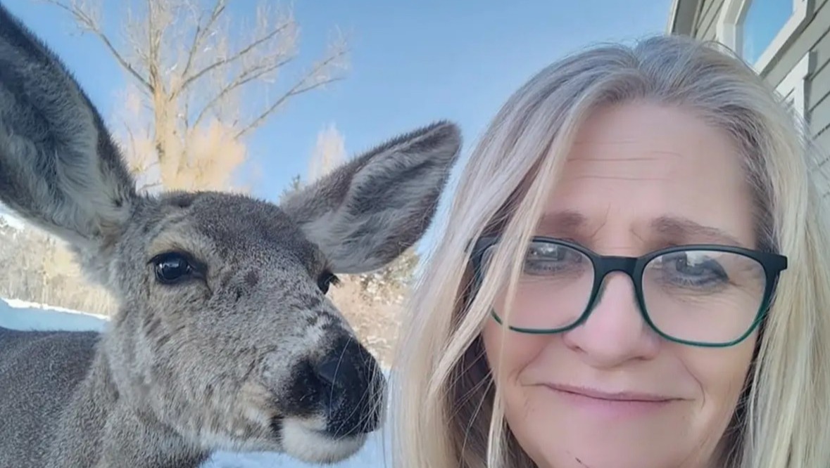 Fundraiser for Krystal Brunell by Sarah Poulin : Support for Amy ...