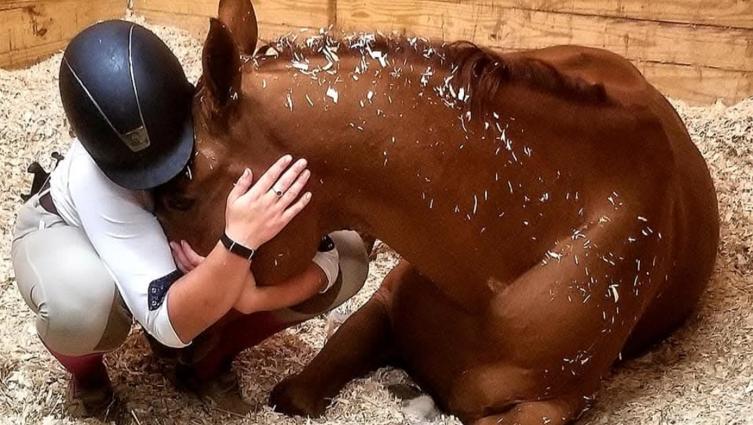 Fundraiser by Mary Honora Corke : Help Roanin Get Life-Saving Surgery