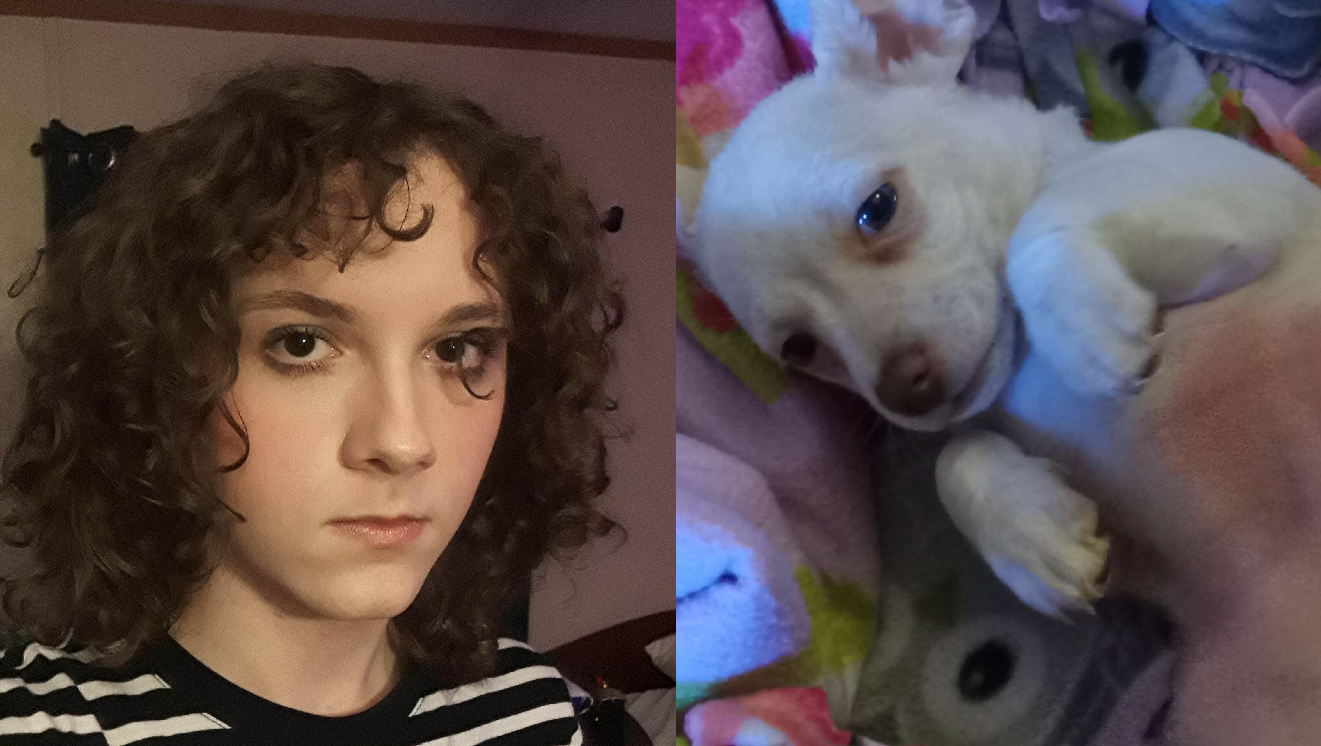 Fundraiser by Rachel Montero : Help Rachel and Sadie Find Safety