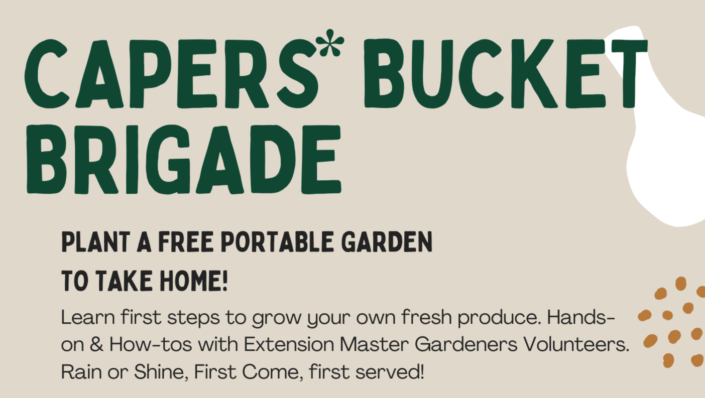 Fundraiser for Jan Smith by Robert Nehls : Support My Eagle Scout ...