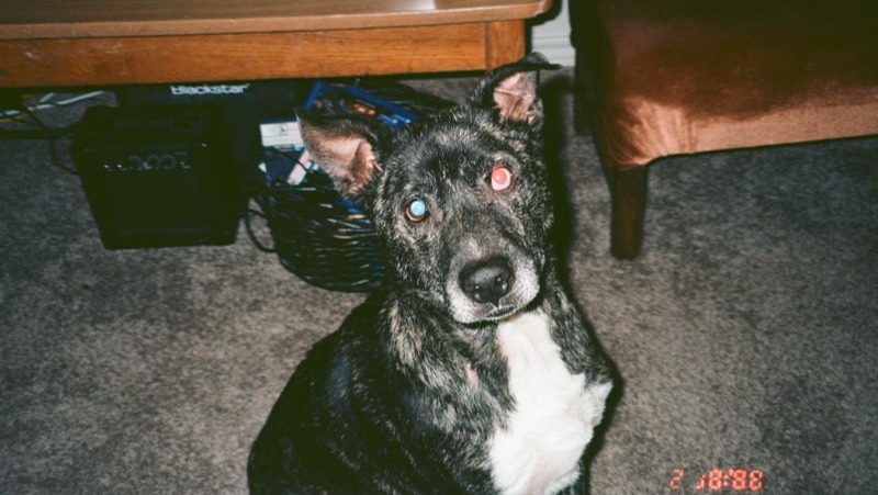 Fundraiser by Xavier Norris : Help me Honor Samson