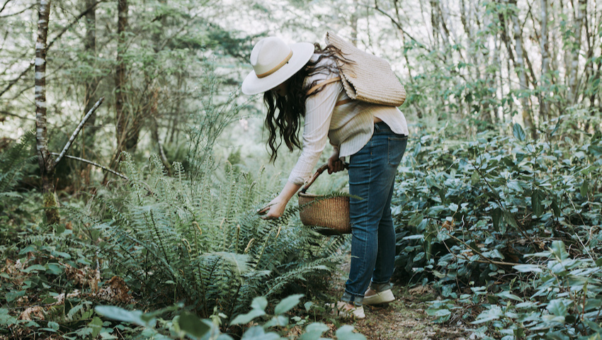 Fundraiser by Sara Butters : Help Sara build the Hawthorn & Honey ...