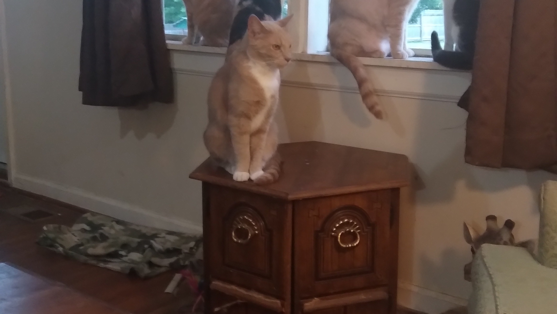 Fundraiser by Jennifer Guinn : Support Jennifer's Journey to Rehab