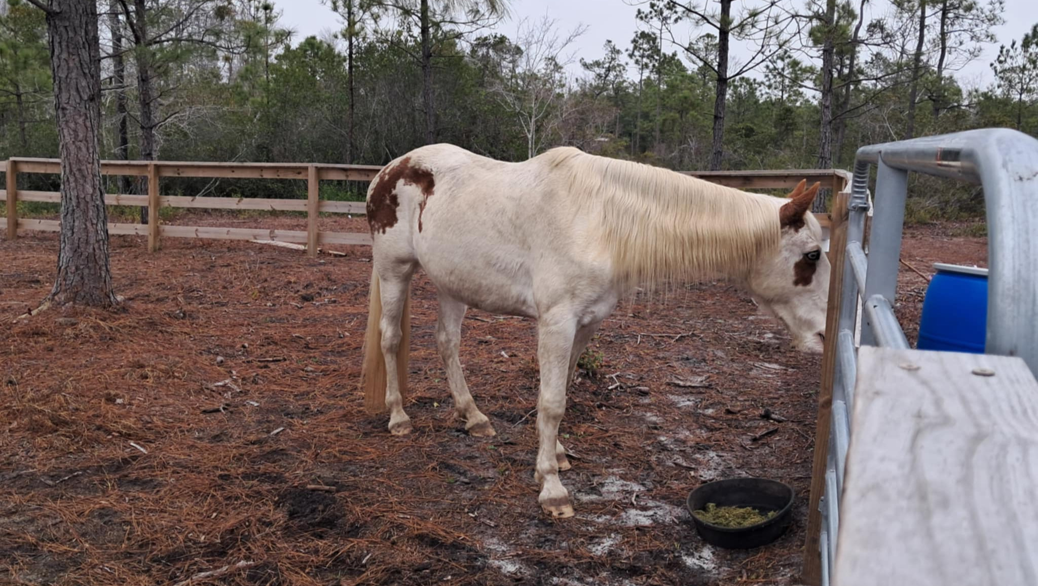 Fundraiser by Jennifer Witkowski : Support Brandon Cross's Legal ...