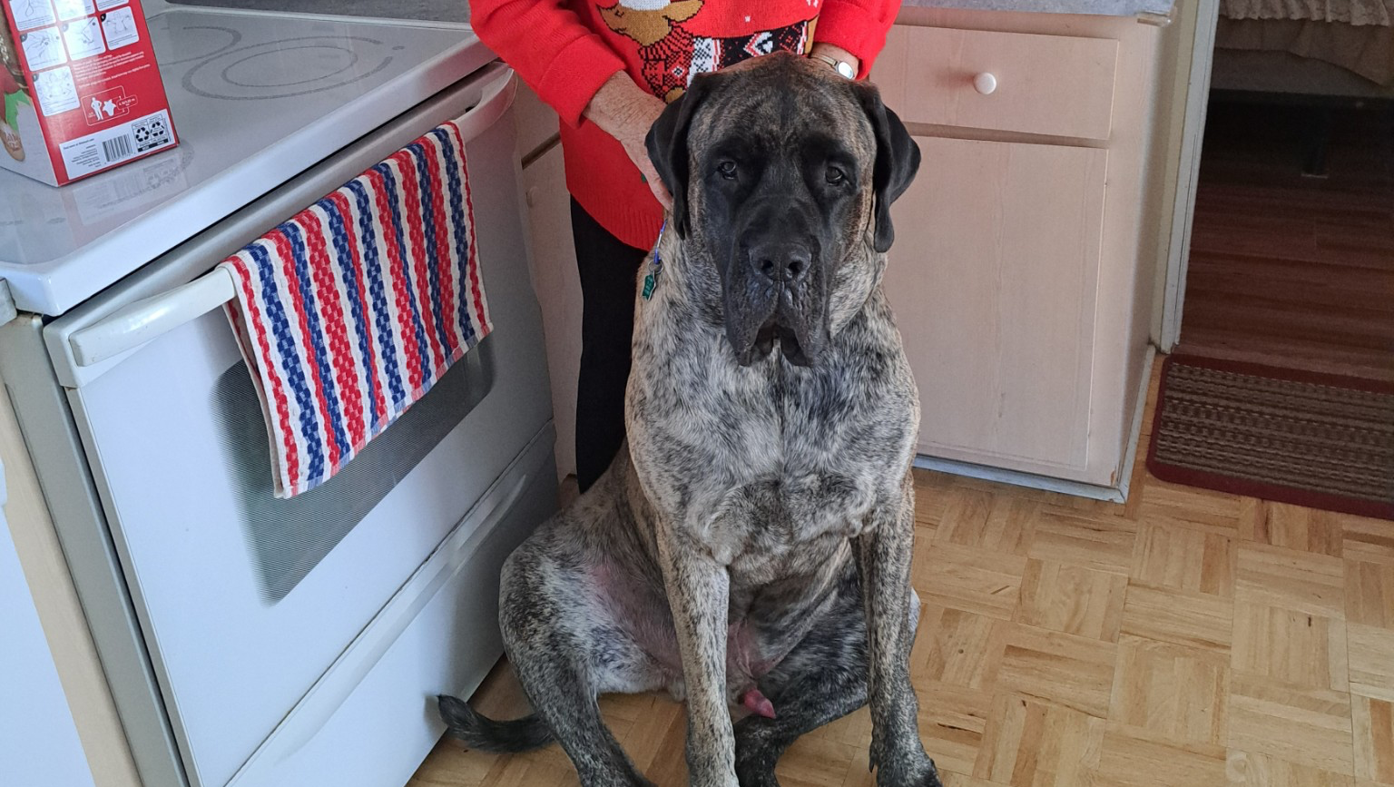 Fundraiser for Renate Penix by Nikki Woxberg : Urgent Surgery for Logan ...