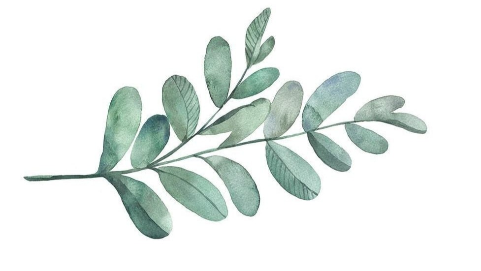 Fundraiser by Mackenzie Perkins : Support Mental Health Recovery and ...