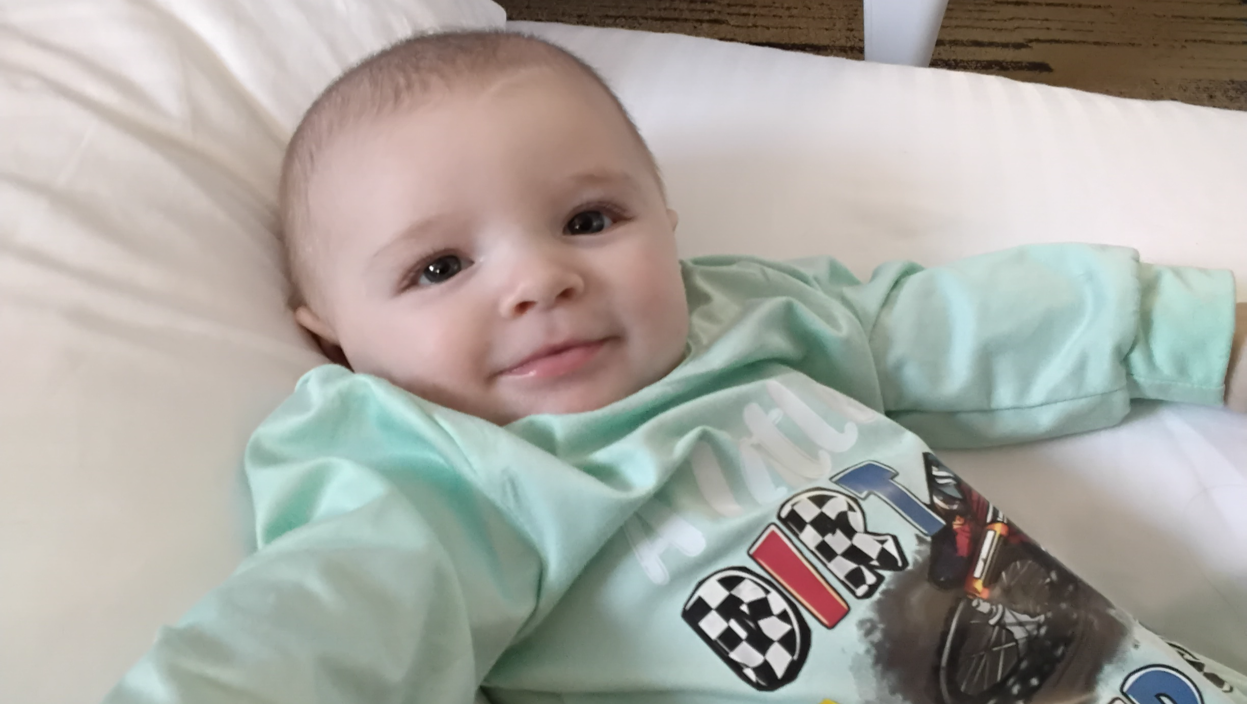 Fundraiser for Harley Snipes by Dave Rapp : In Memory of Colt Abby ...