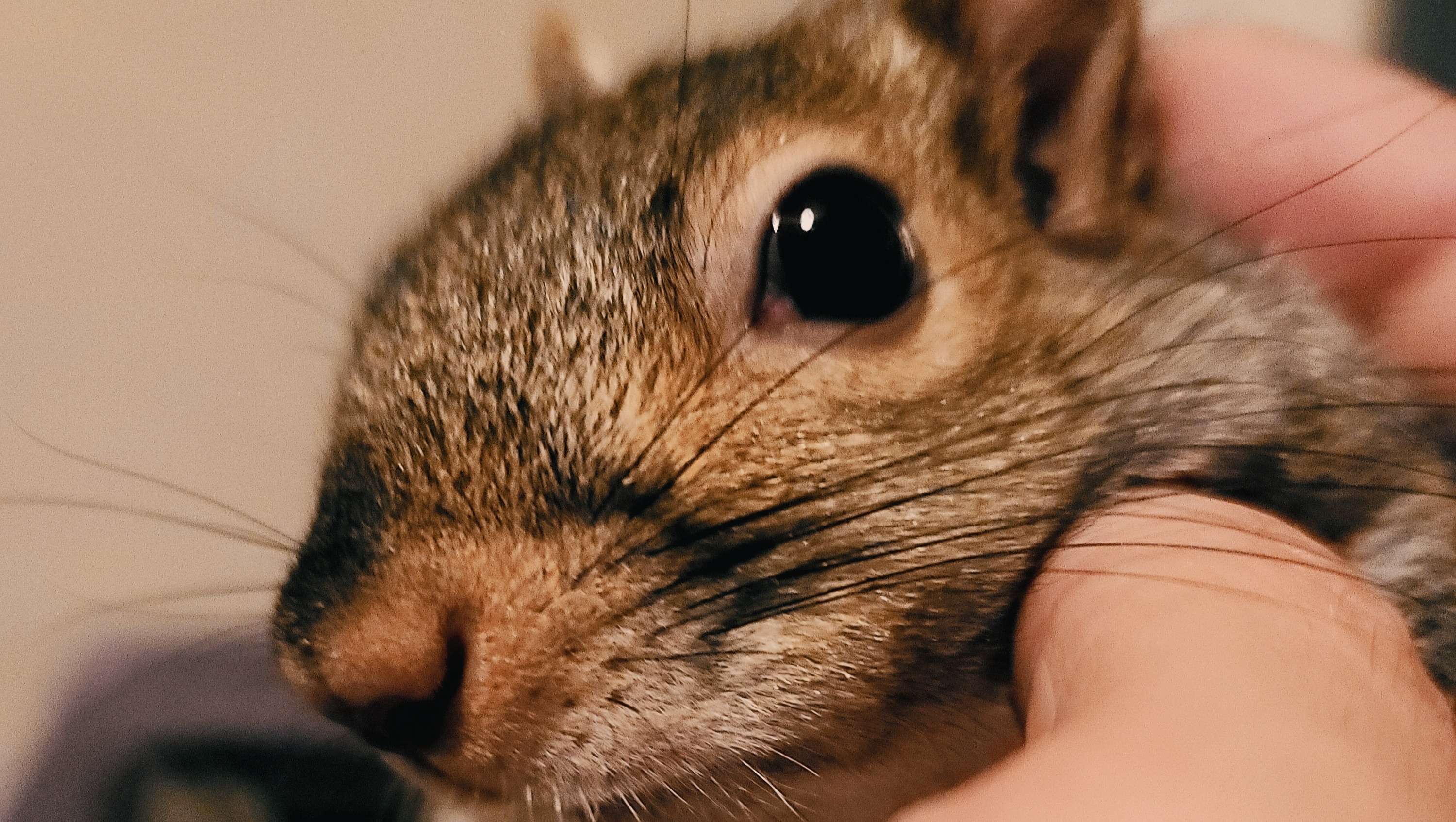 Fundraiser by Jeff Newcomb : Support Jeff in a Time of Need