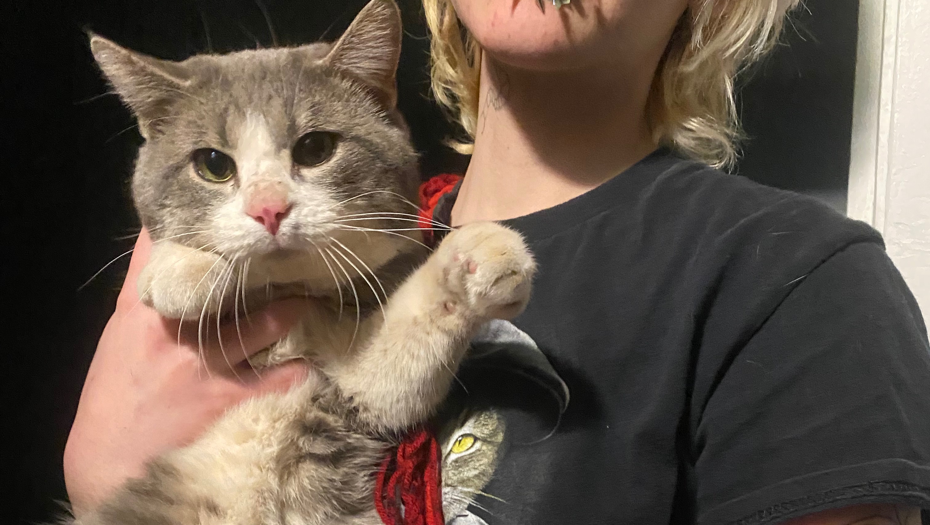 Fundraiser by Xeraux Ortega : Enchi's Hernia Surgery Fundraiser