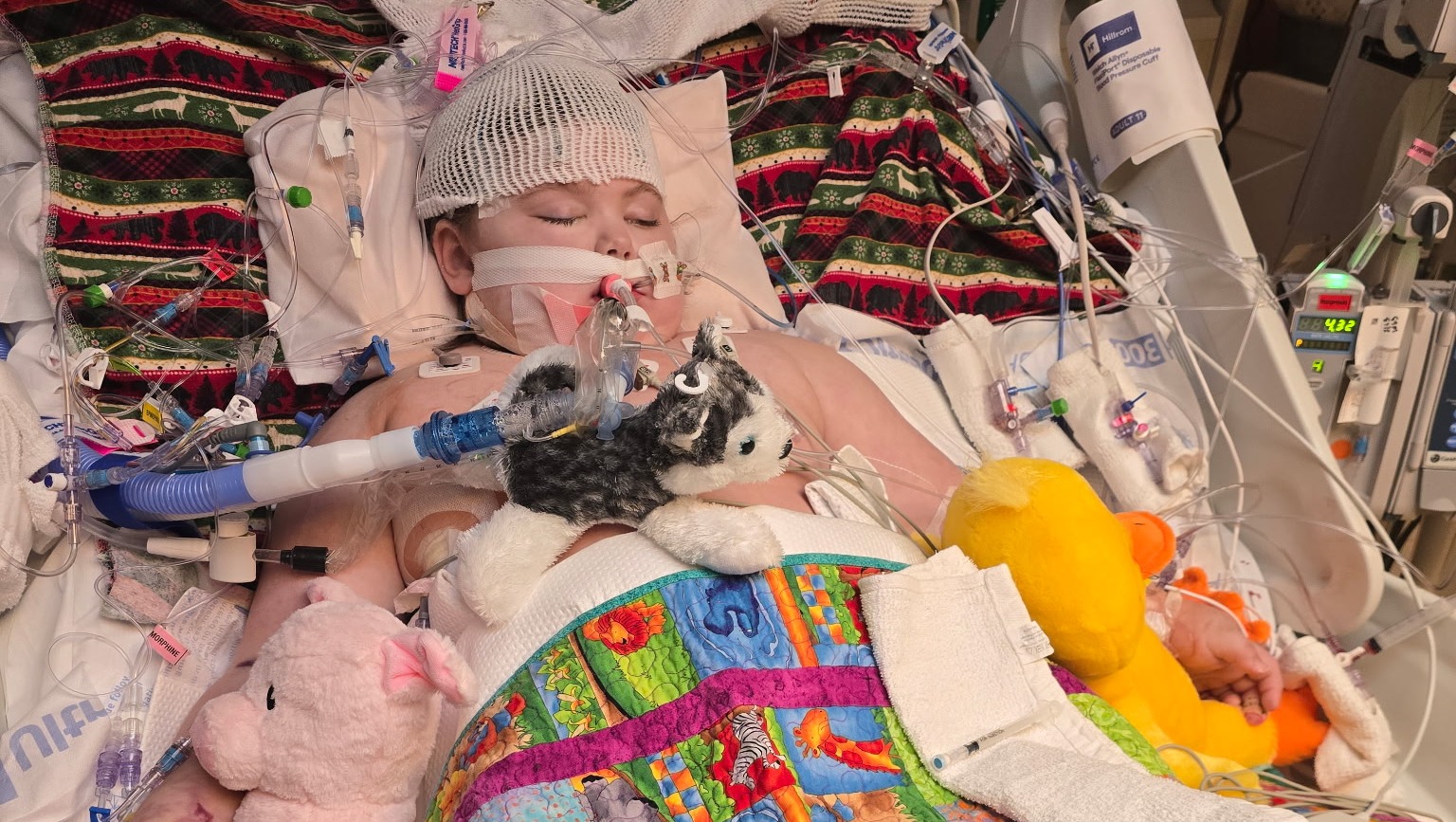 Fundraiser by Cassandra Graham : Supporting Mikey & Parents