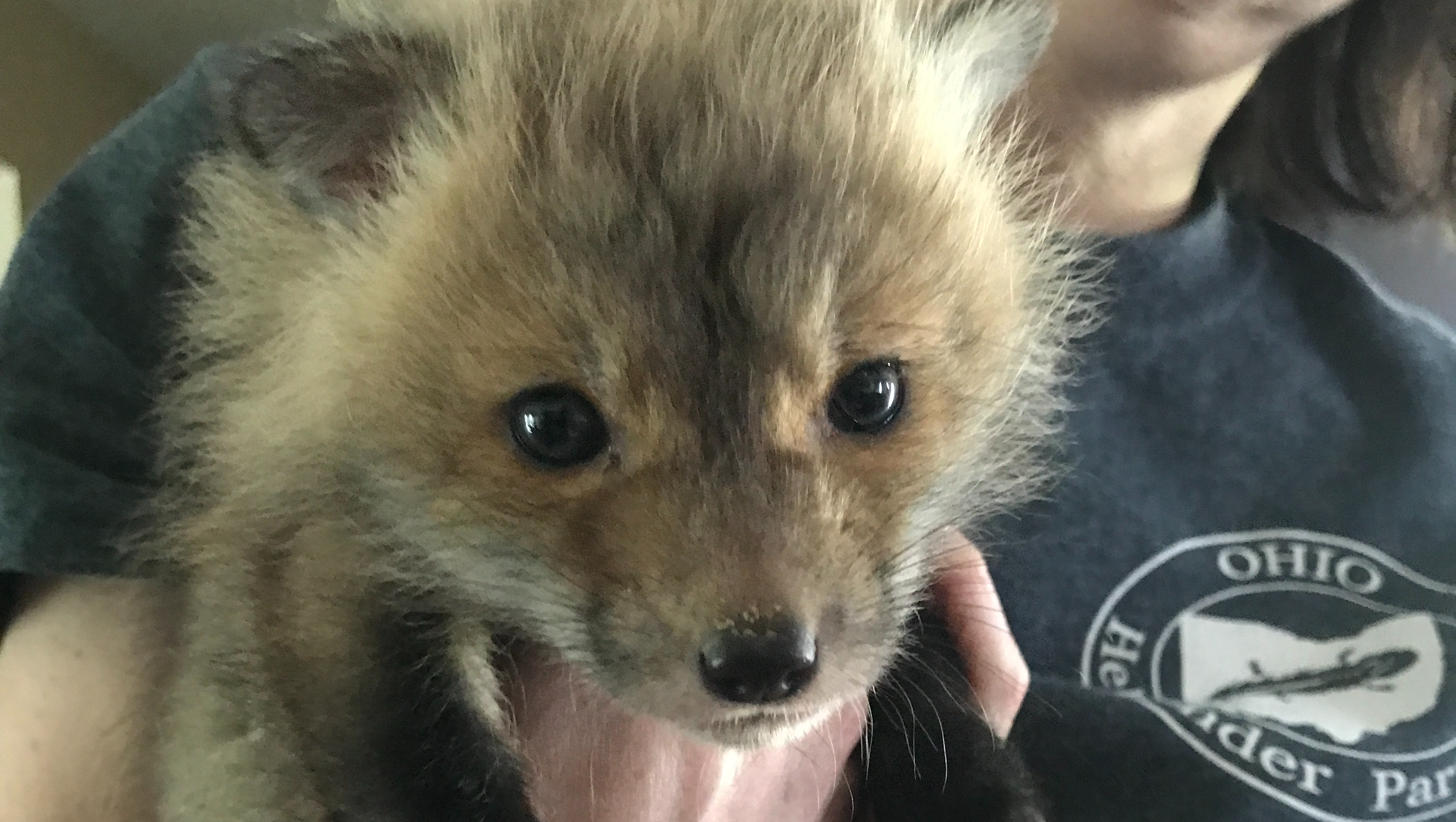 Fundraiser by Capria Gross : Save the Critters, Support the Champion ...