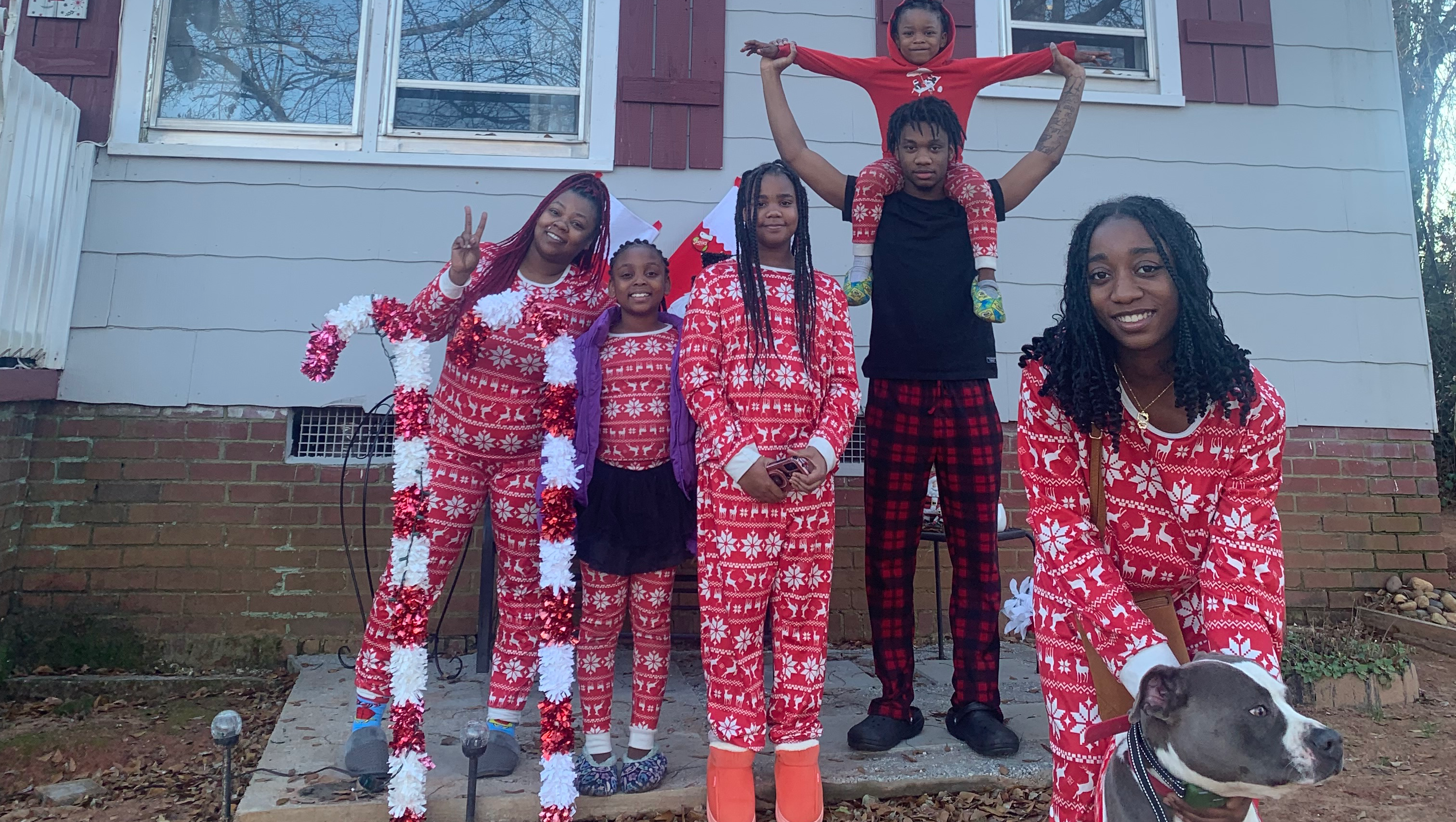 Fundraiser by Dae Johnson : Support Taz's Journey to a Safe Home