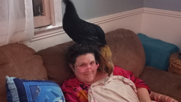 Fundraiser by Sierra Jamison : Honoring Gigi: Help with Funeral Costs