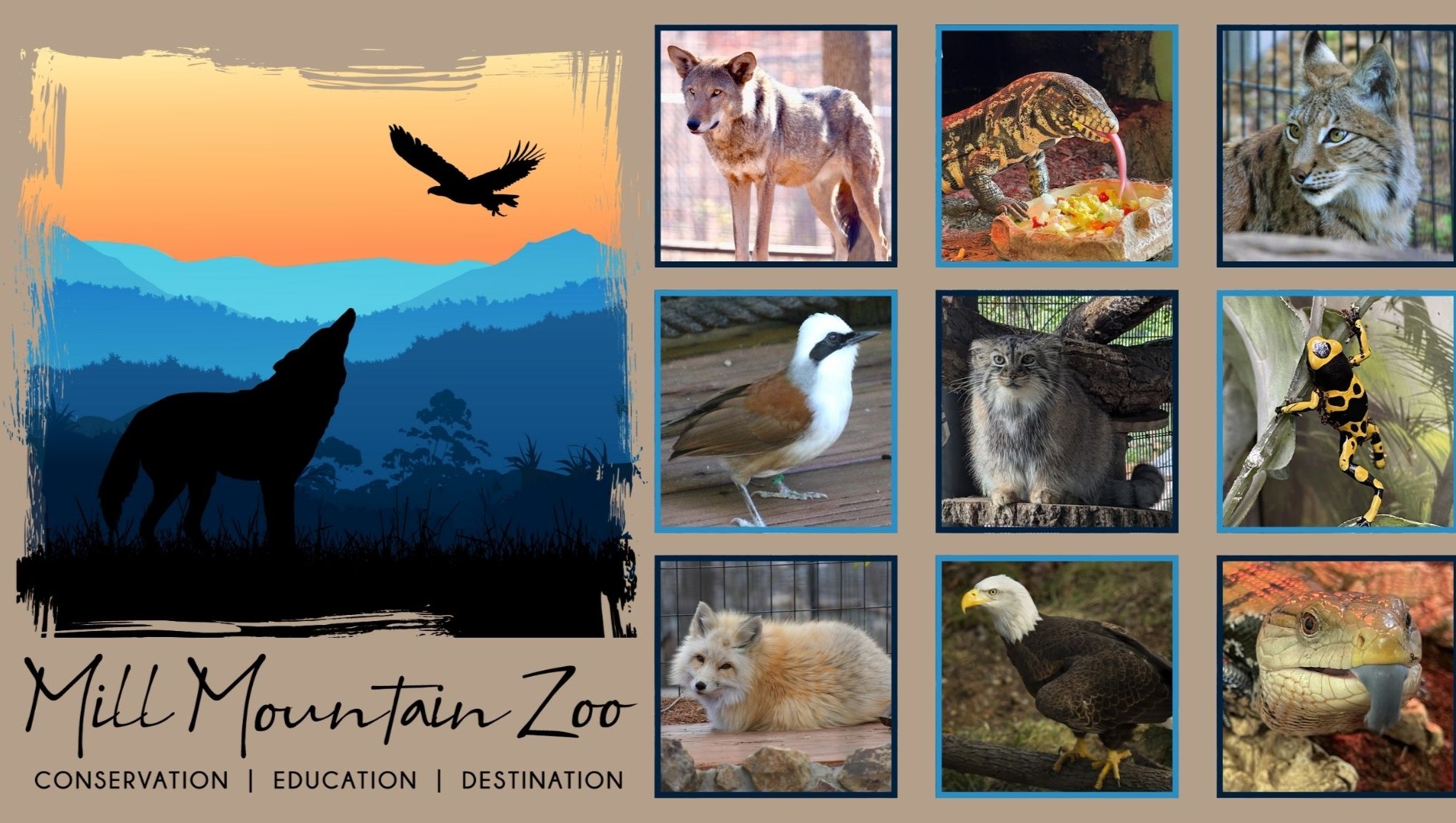 Fundraiser by Niki Voudren : Help Mill Mountain Zoo Recover from Storm Damage