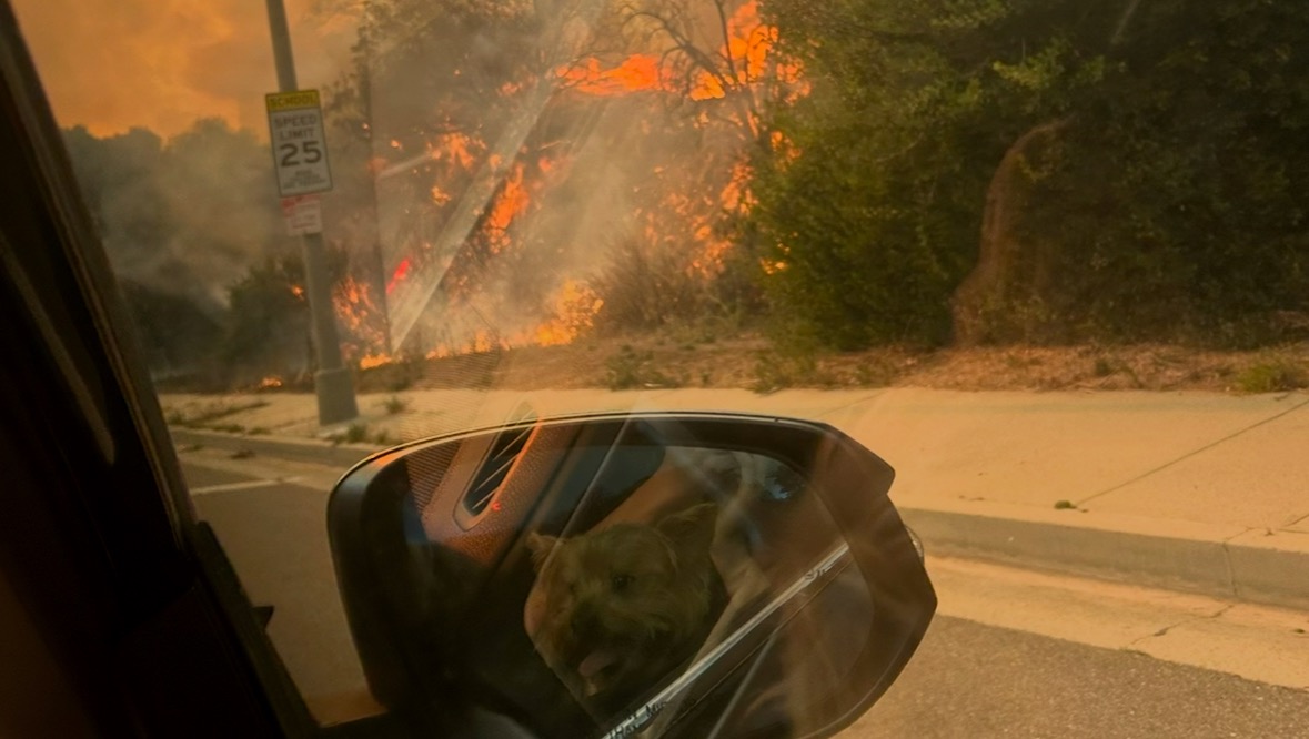 Fundraiser for Peter Viles by Bruce Francis : Viles Family Needs Your ...