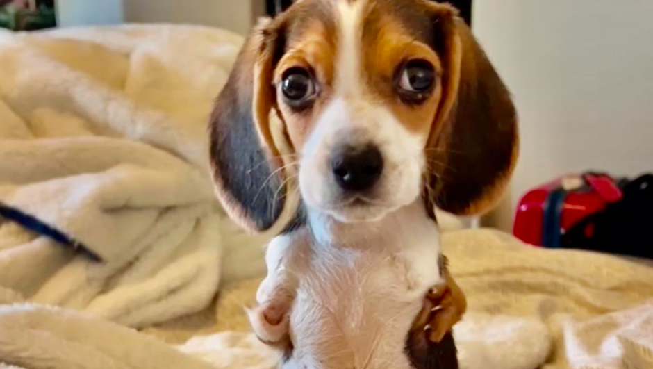 Fundraiser for Tina Marie Lythgoe by Mahogany Gordy : Support Josh and ...