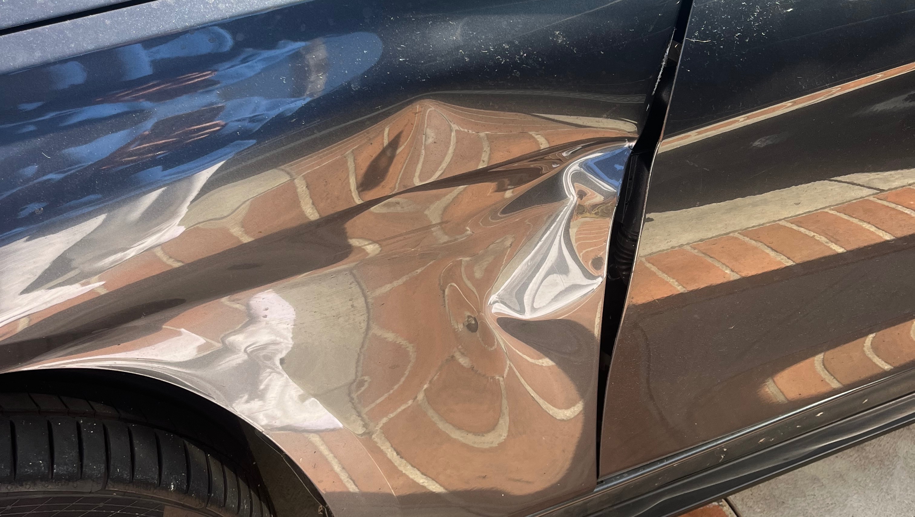 Fundraiser by dylan nelson : Support Sweet Drakey's Recovery Fund