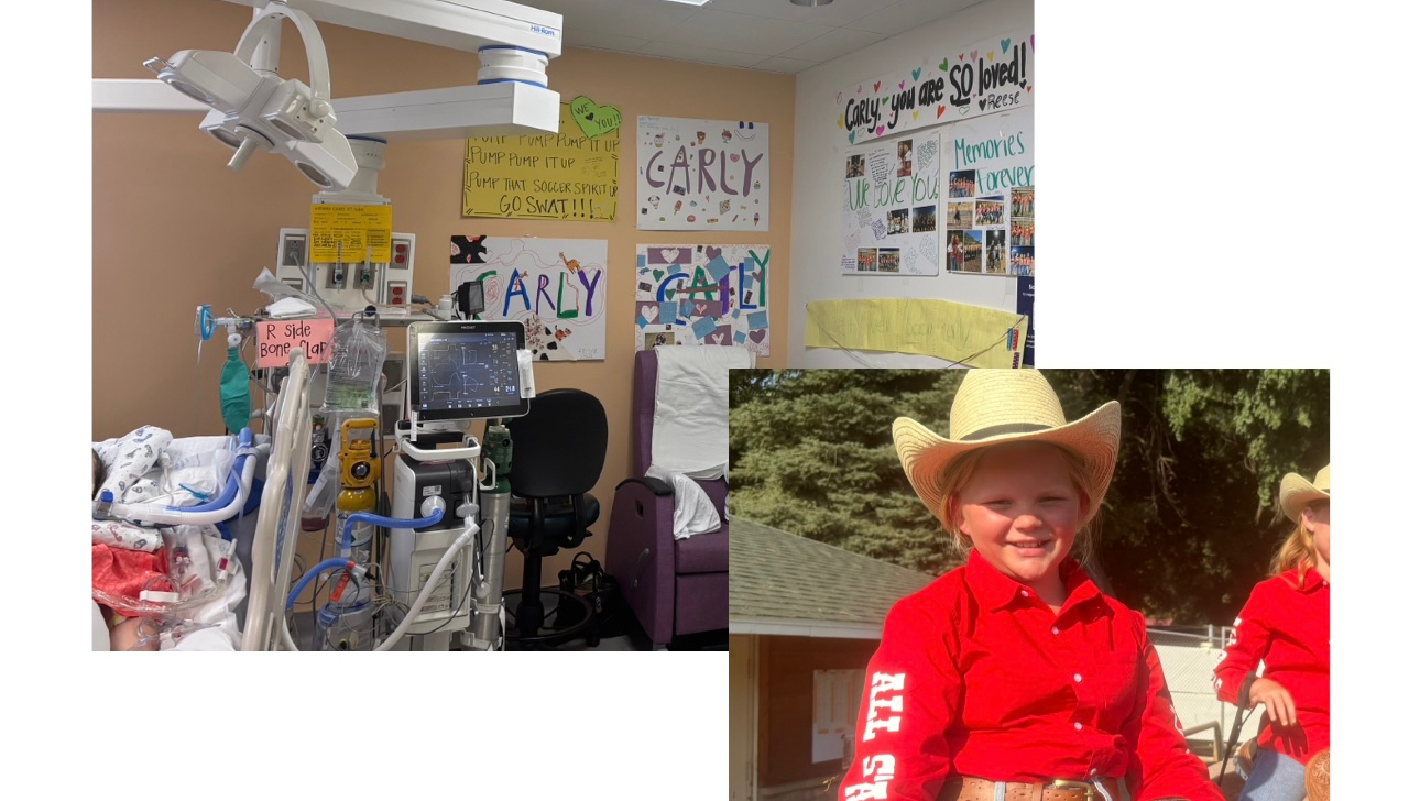 Fundraiser for Amanda Hodson by Jaedyn Beyeler : Courage for Carly