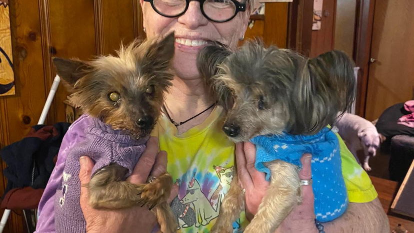 Fundraiser for Sheree Gilbert by jilla Woodward : Support Sheree ...