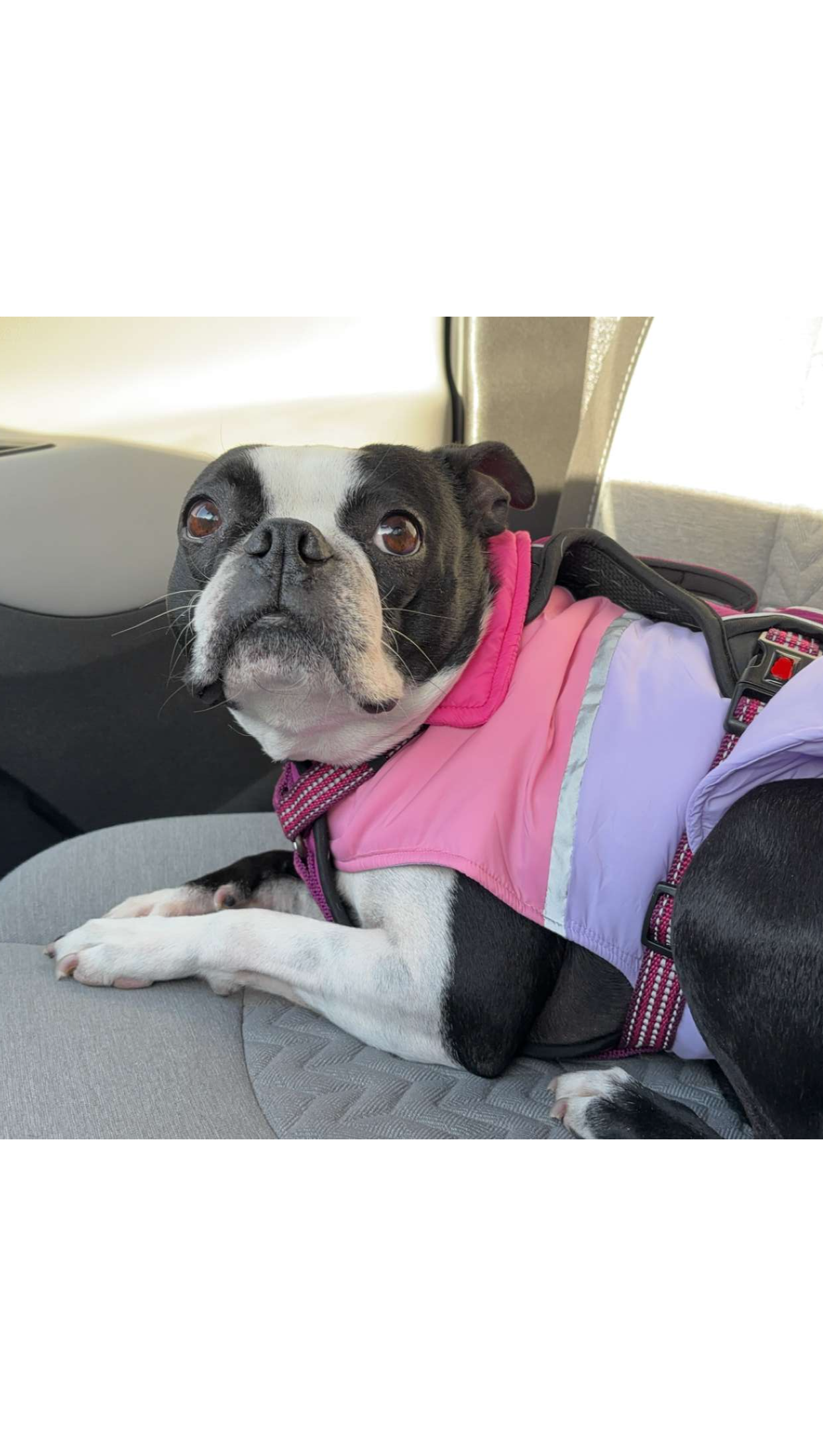 Fundraiser for Mariah Alvarez by Cristian Cortez : Help Lola Get the ...