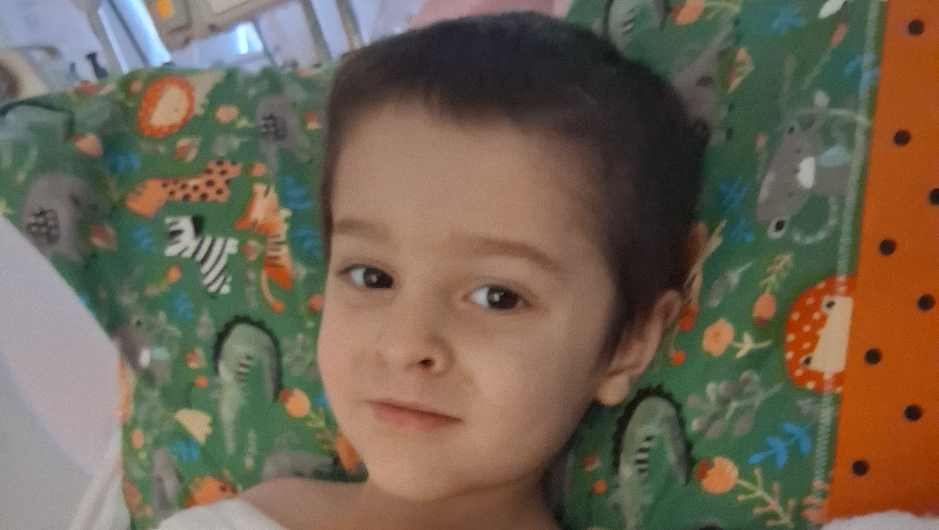 Fundraiser by Jessica Lahr : Help Rowan and Family Through Cancer Battle
