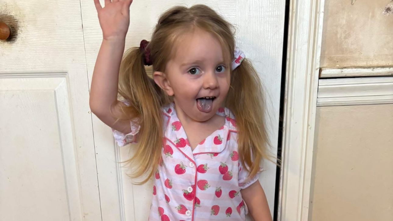 Fundraiser by Jacqueline Adams : Honoring Lydia Mae: A Pink Farewell