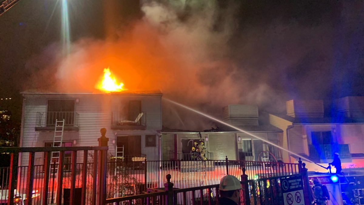 Fundraiser for Mackenzie Walsh by Tiffany Becker : Help the Purma ...