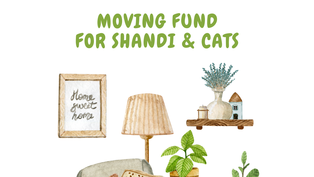 ANTM: Shandi’s GoFundMe | The Internet's largest African American Forum