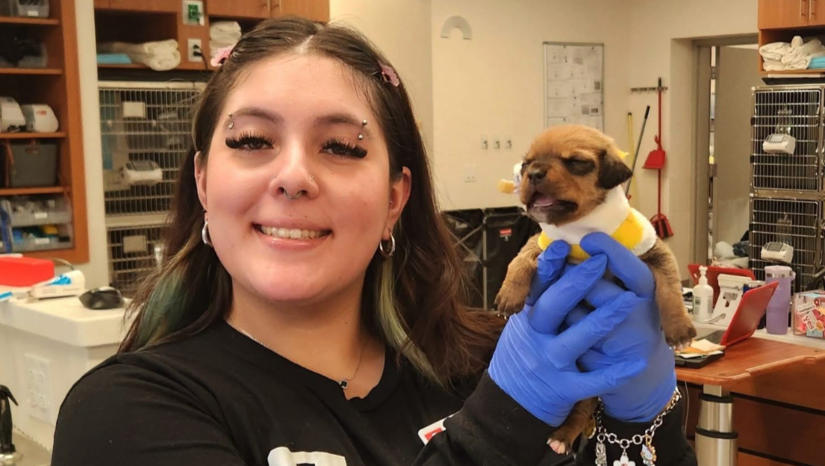 Fundraiser for Alicia Ruiz by Lauren Darwin : Support Ali and Daisy's ...