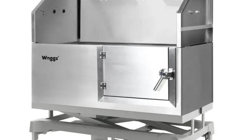 Fundraiser by Regina Daily : Support Daily Pet Parlor's Safety Remodel