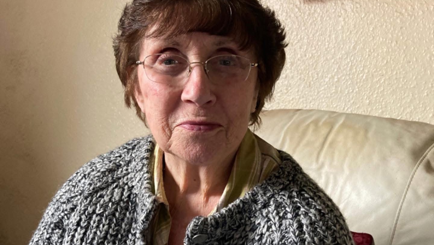 Fundraiser by Annabel Wells : Olwyn Moxon - Our Queen of Beoley Kennels