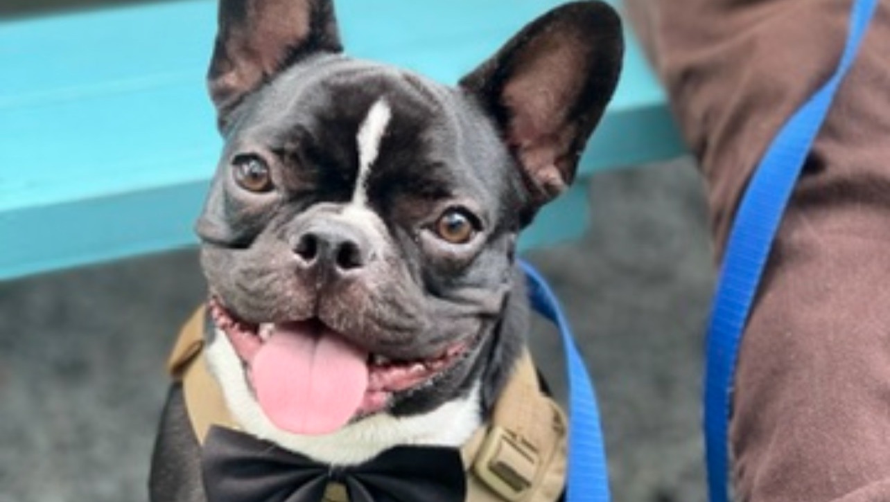 Fundraiser for Alexander Tzavelakos by Adolph Valdez : Help Gucci Get ...