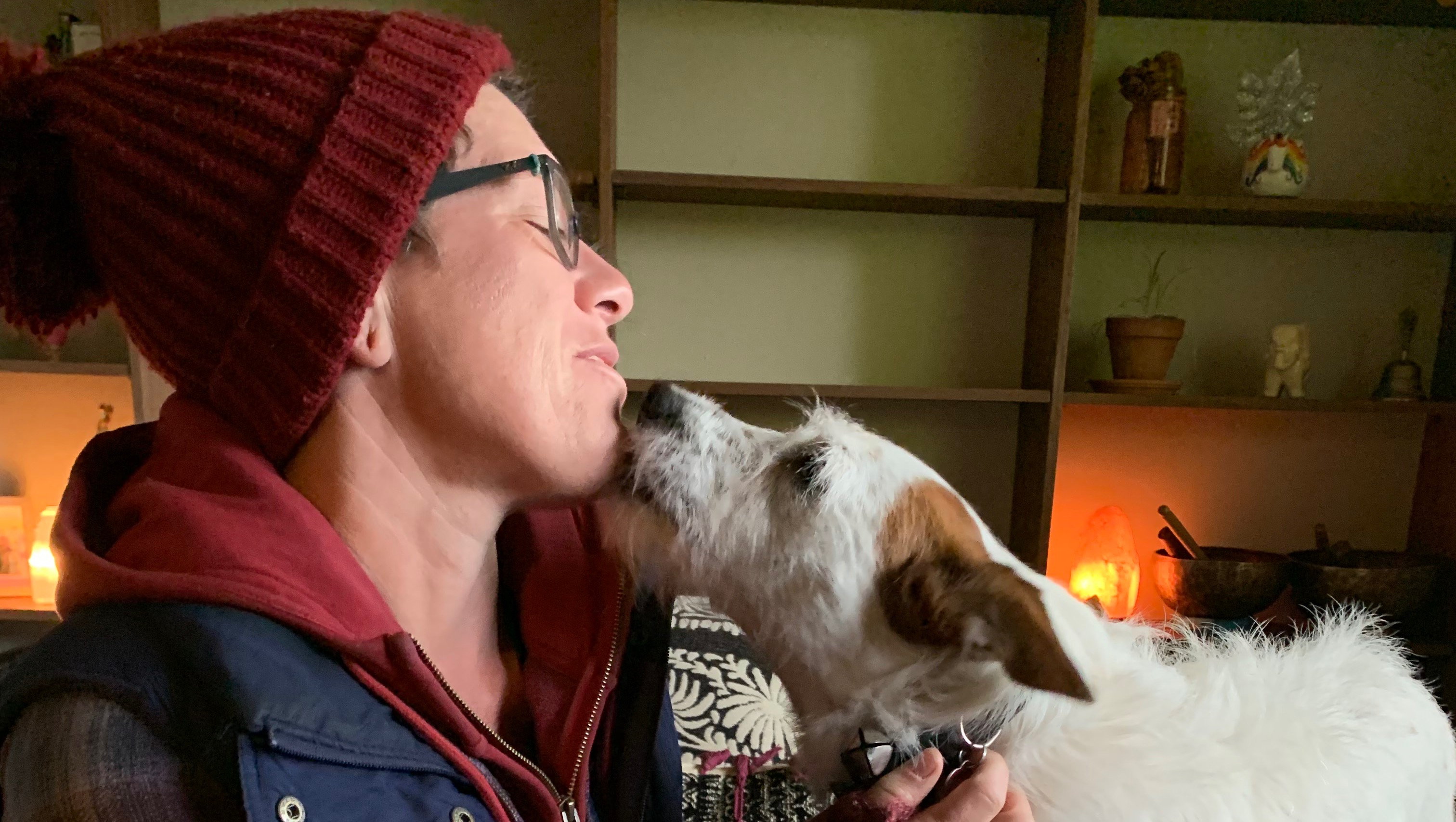 Fundraiser for Sonia Cook by Bobbi Rose : SJ's Beloved Pup Copper Needs ...