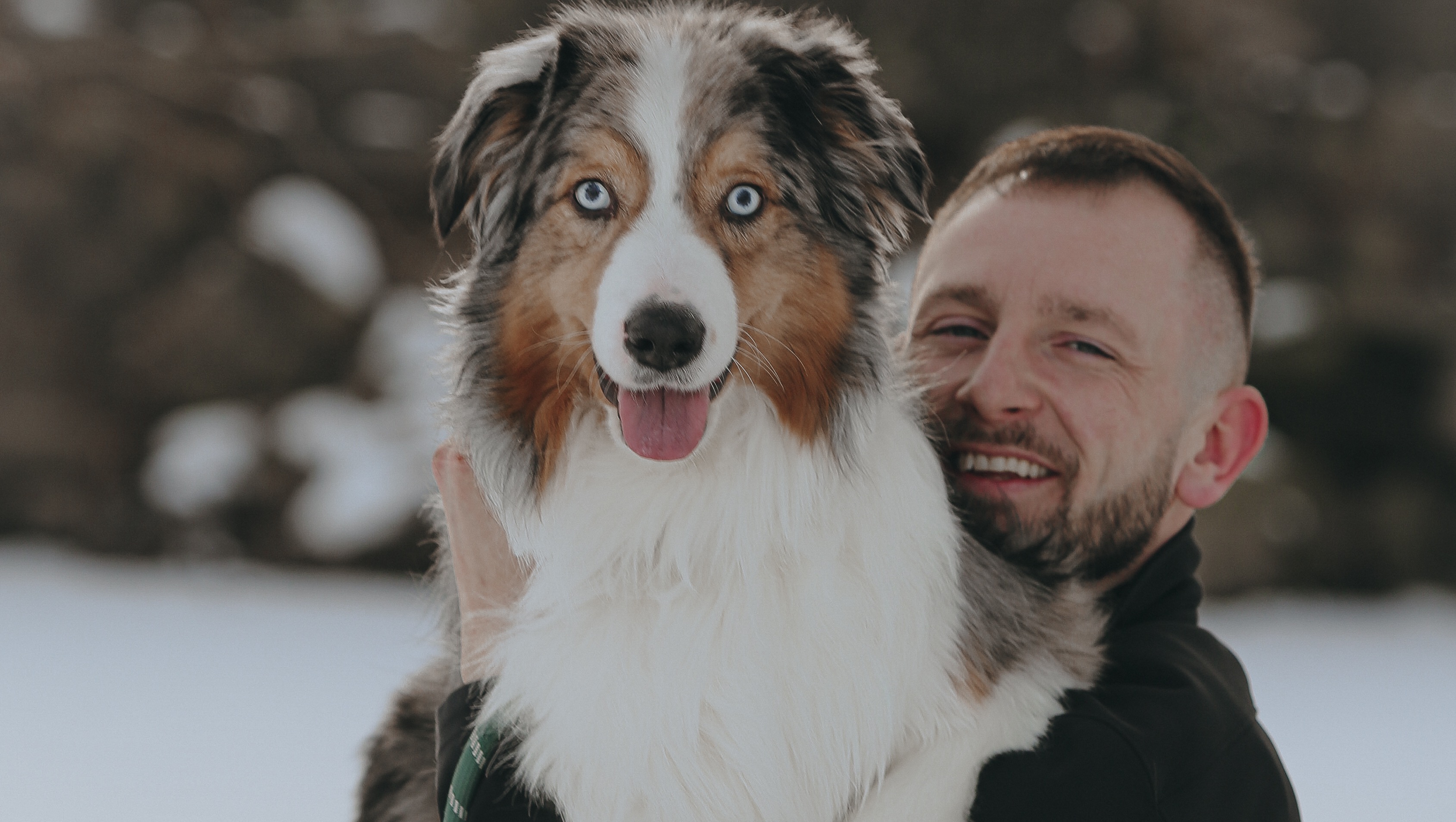 Fundraiser by Nadia Jaber : Help Bear Recover from Devastating Fire