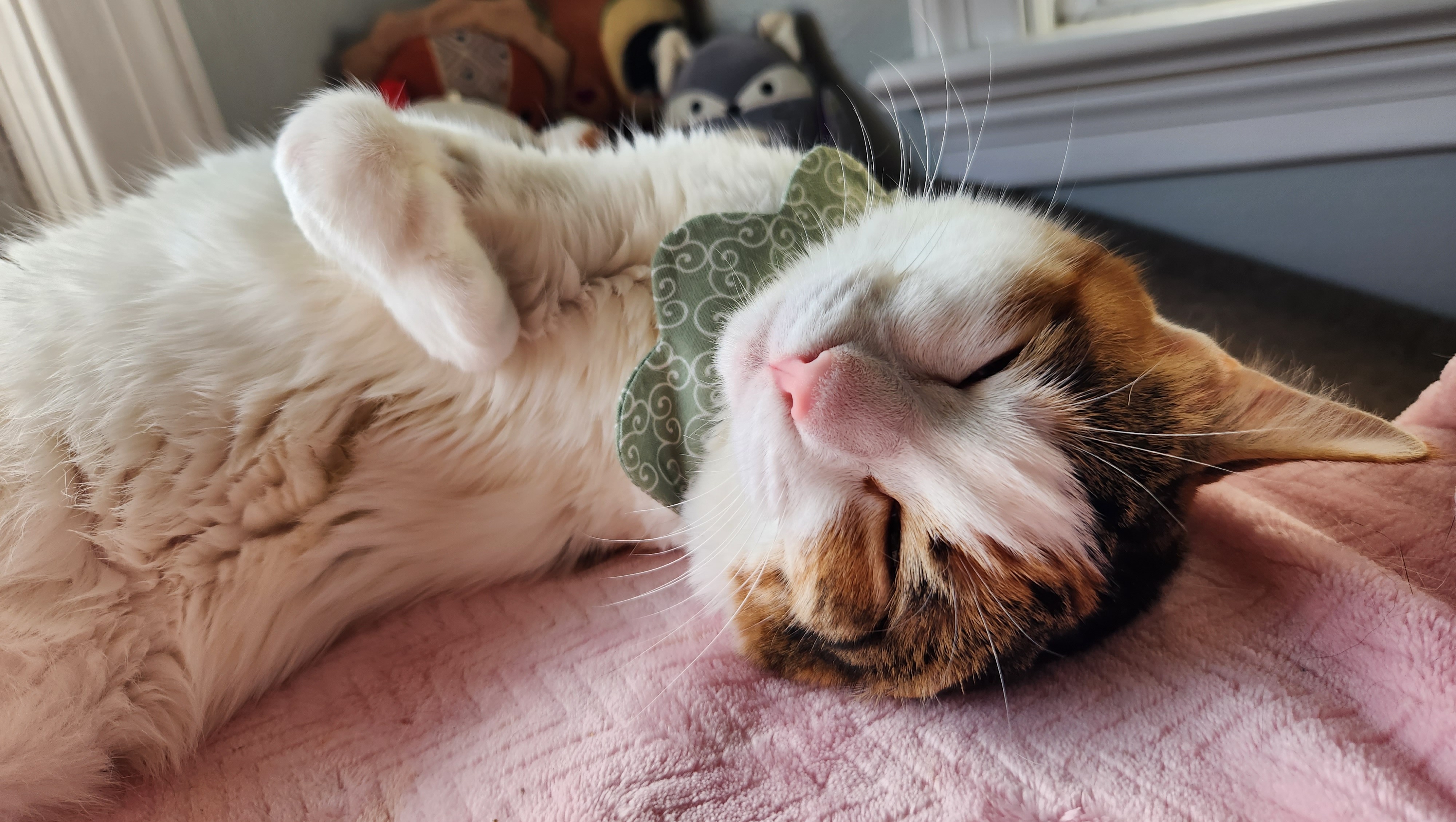 Fundraiser by Shealah Vautrin : Help Hermione Heal from Spinal Stroke