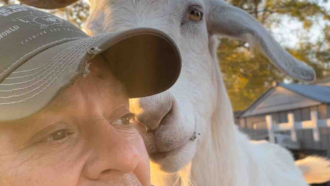 Fundraiser by Brandon Neal : Support Brandon's Animal Sanctuary