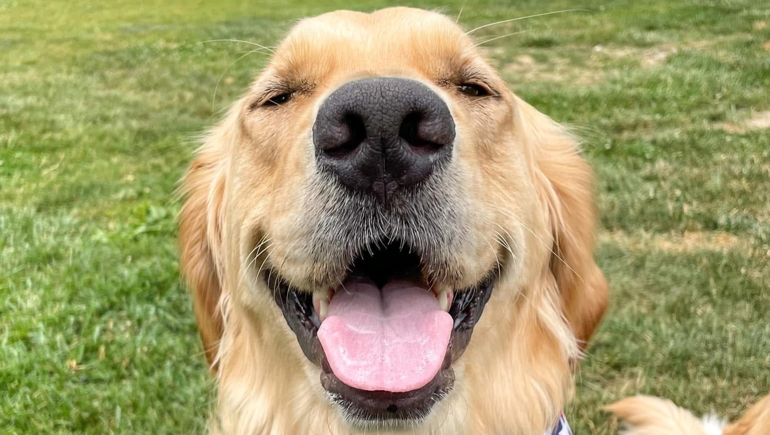 Fundraiser for Makayla Clevenger by Bailey Bauserman : Stand by Cash ...