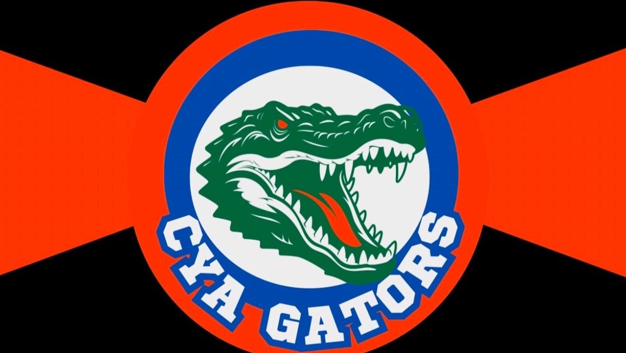 Fundraiser by William Robinson : 6U Gators Mudd Brovas: Fueling the Future