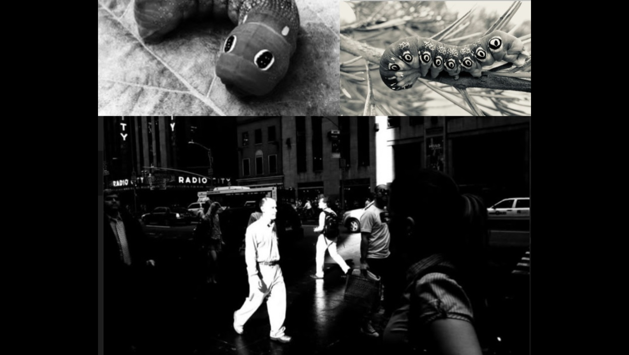 Fundraiser by Romi Zabala : CATERPILLAR GIRL FILM