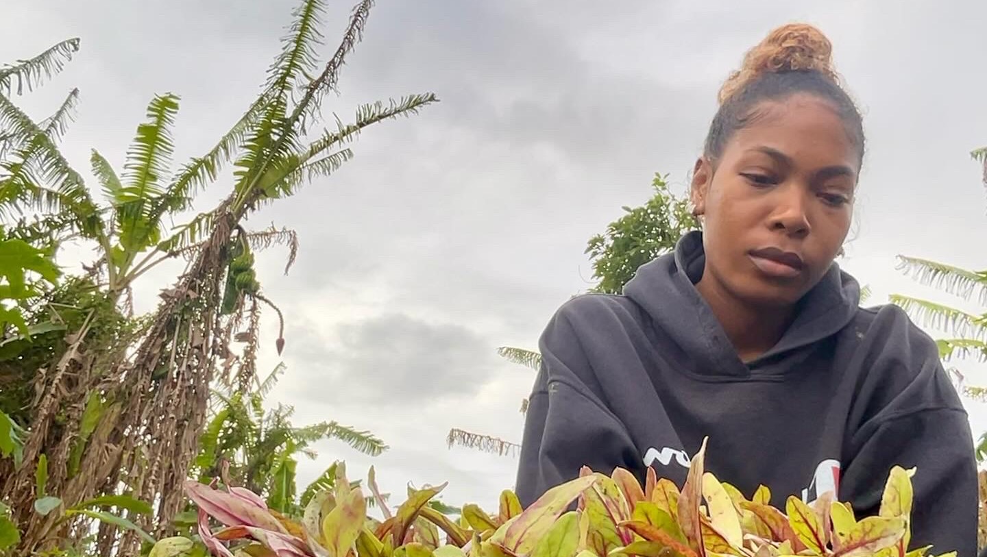 Fundraiser for Thea Vincent by Jade Alexis Sands : Empowering ...