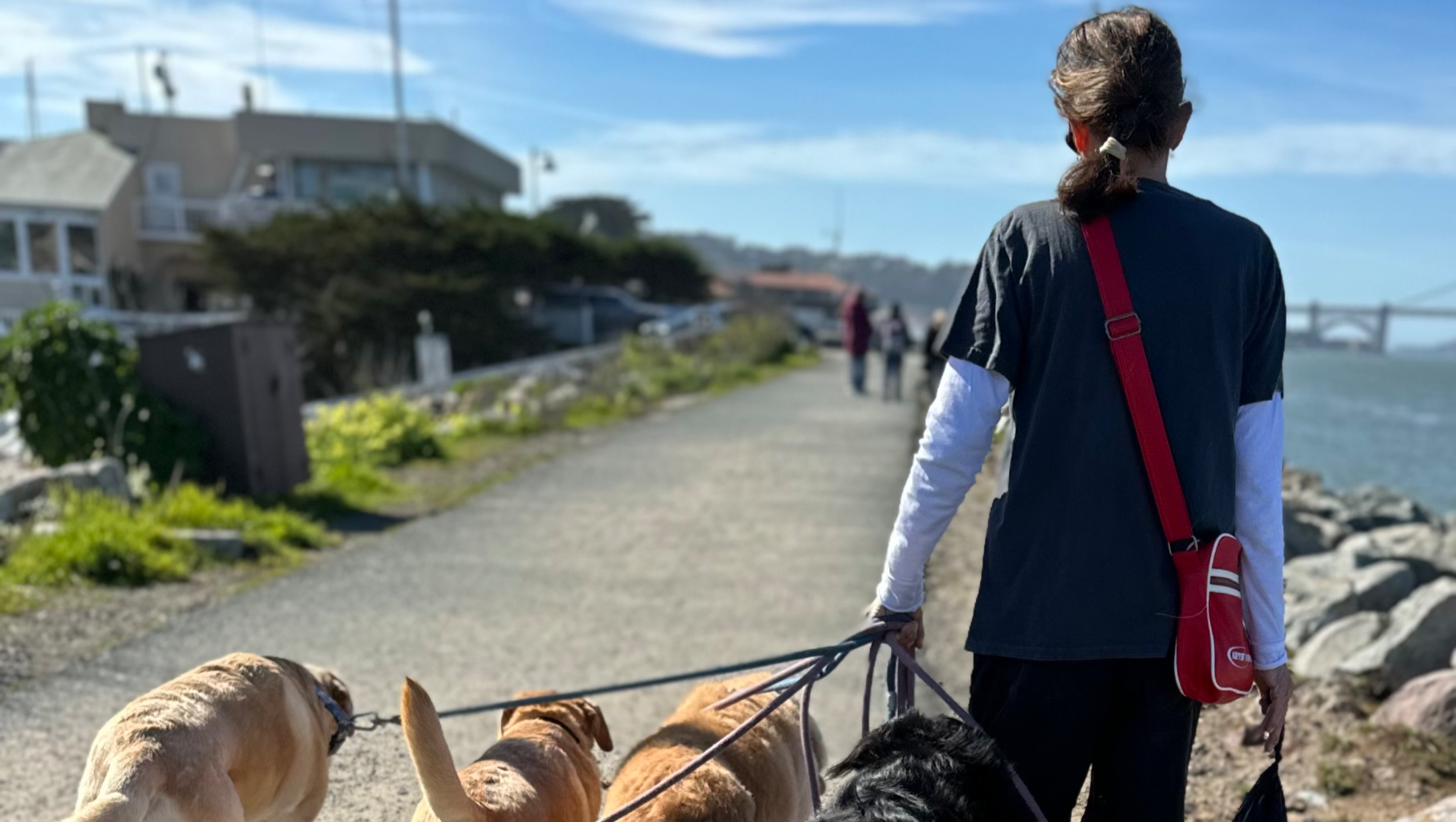 Fundraiser for Alison Tarnoff by Jeanette Lester : Rally for Alison ...