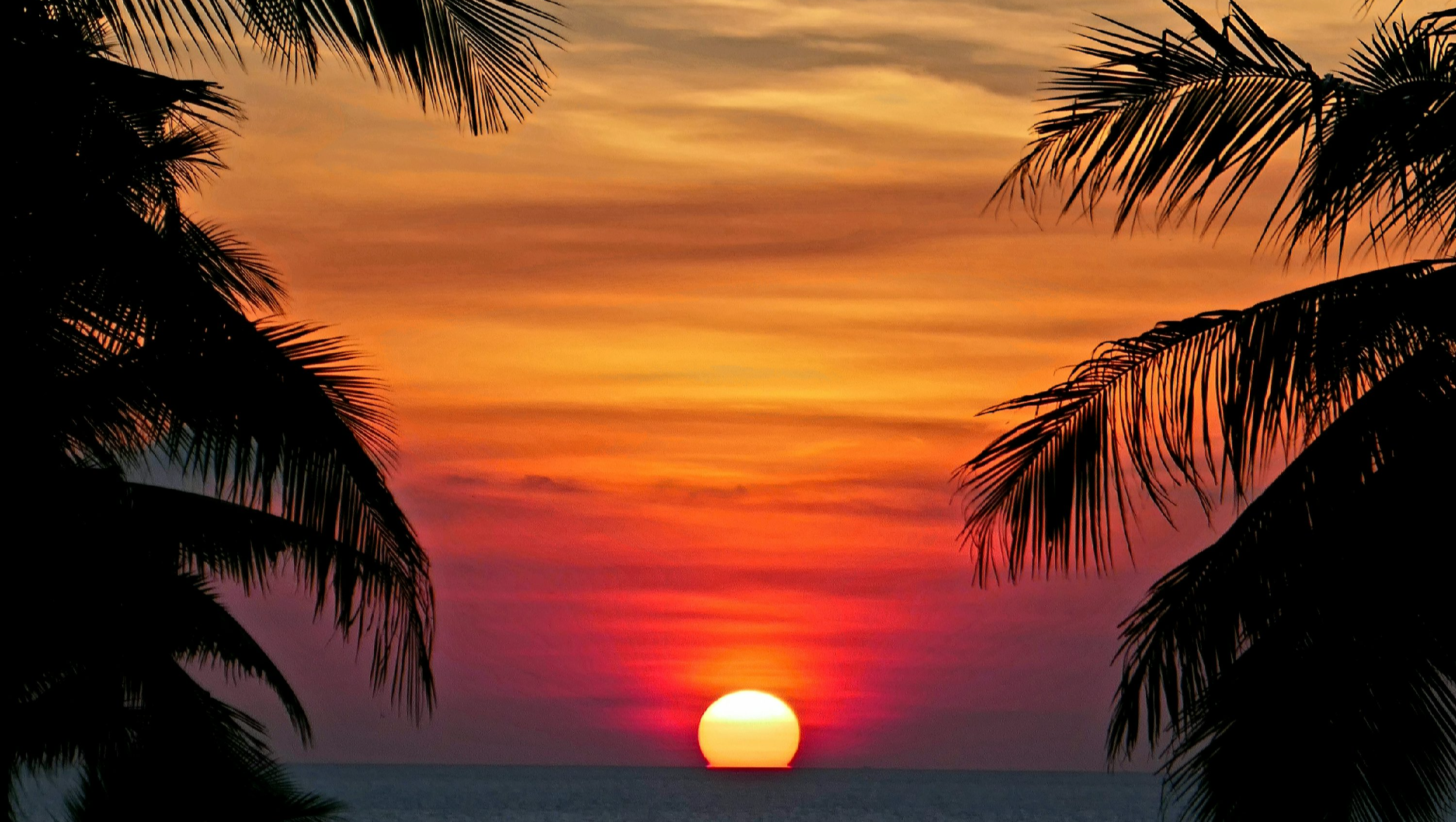 Fundraiser by Colin Gamble : Phil Thomas Retirement Collection