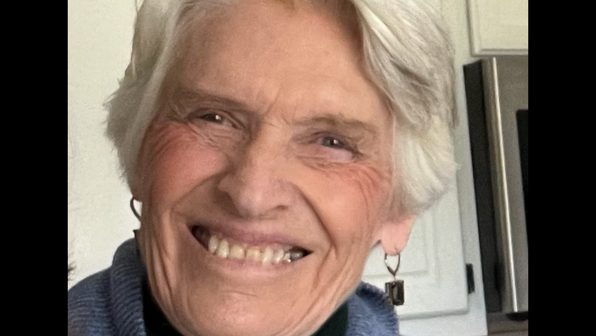 Fundraiser for Susan Topping by Betsey Gilbert : Honor Sue's Life with ...