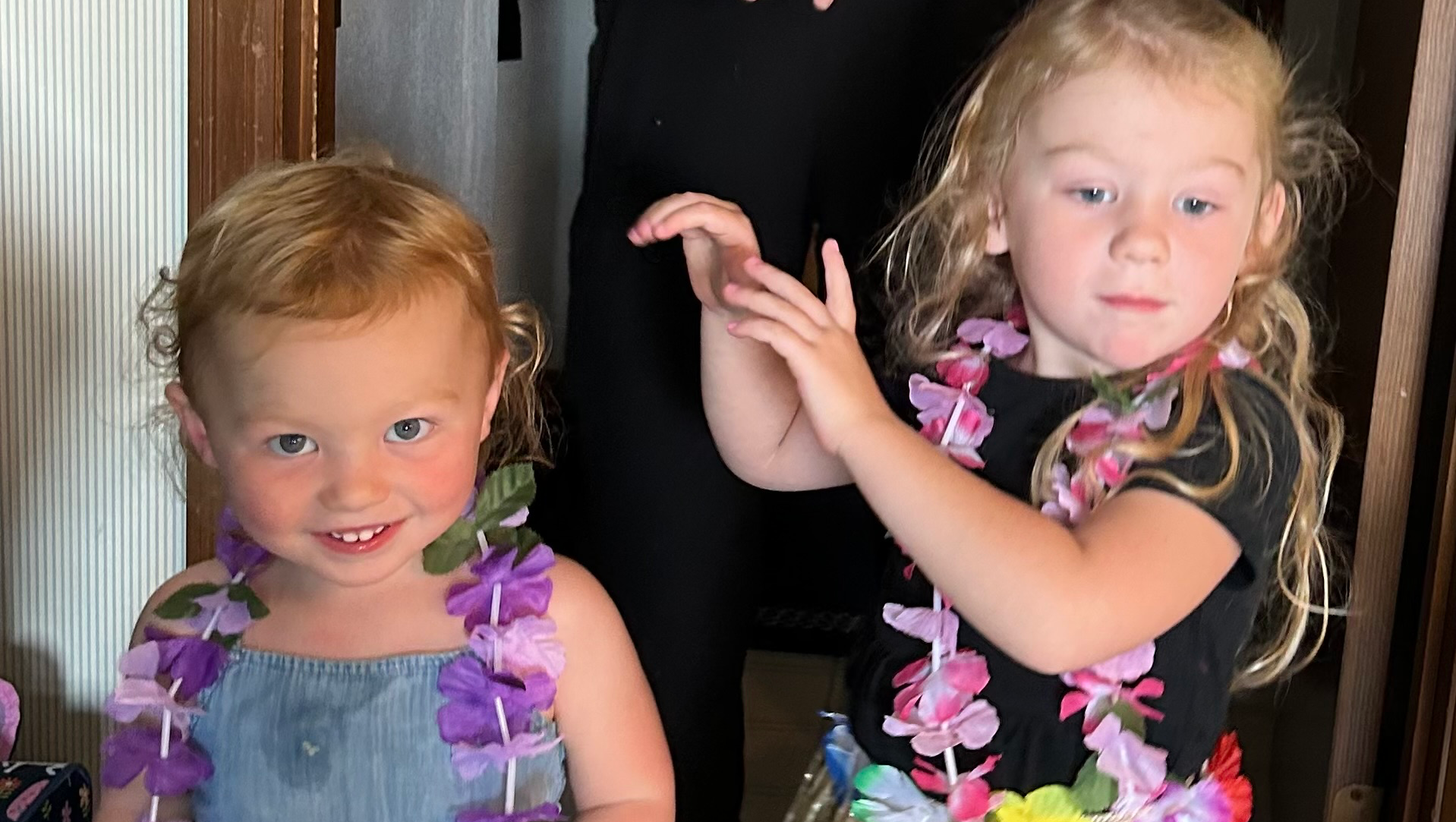 Fundraiser by Breklyn Forbush : Help Whitney Escape Abuse and Rebuild ...